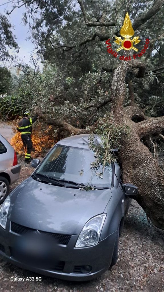 Maltempo: mareggiate e vento forte sulla costa toscana - ToscanaOggi Maltempo: mareggiate e vento forte sulla costa toscana - ToscanaOggi
